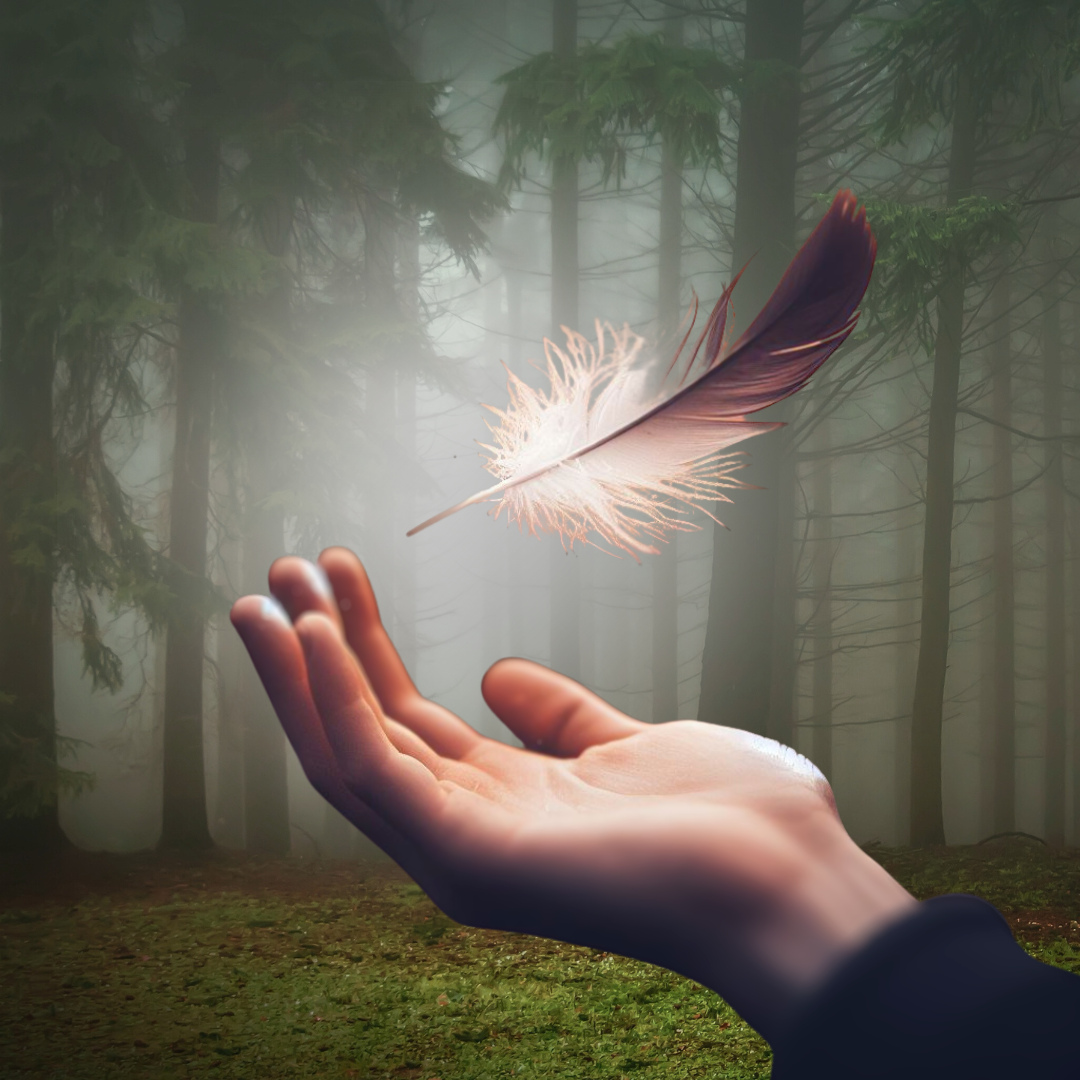 Intuitions: Focus and Concentration - the4thdimension.ca